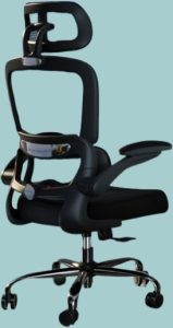 TRALT Office Chairs Premium Online Website